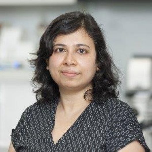 Dr. Urmi Bandyopadhyay | Manipal Institute of Regenerative Medicine - Manipal Academy of Higher ...